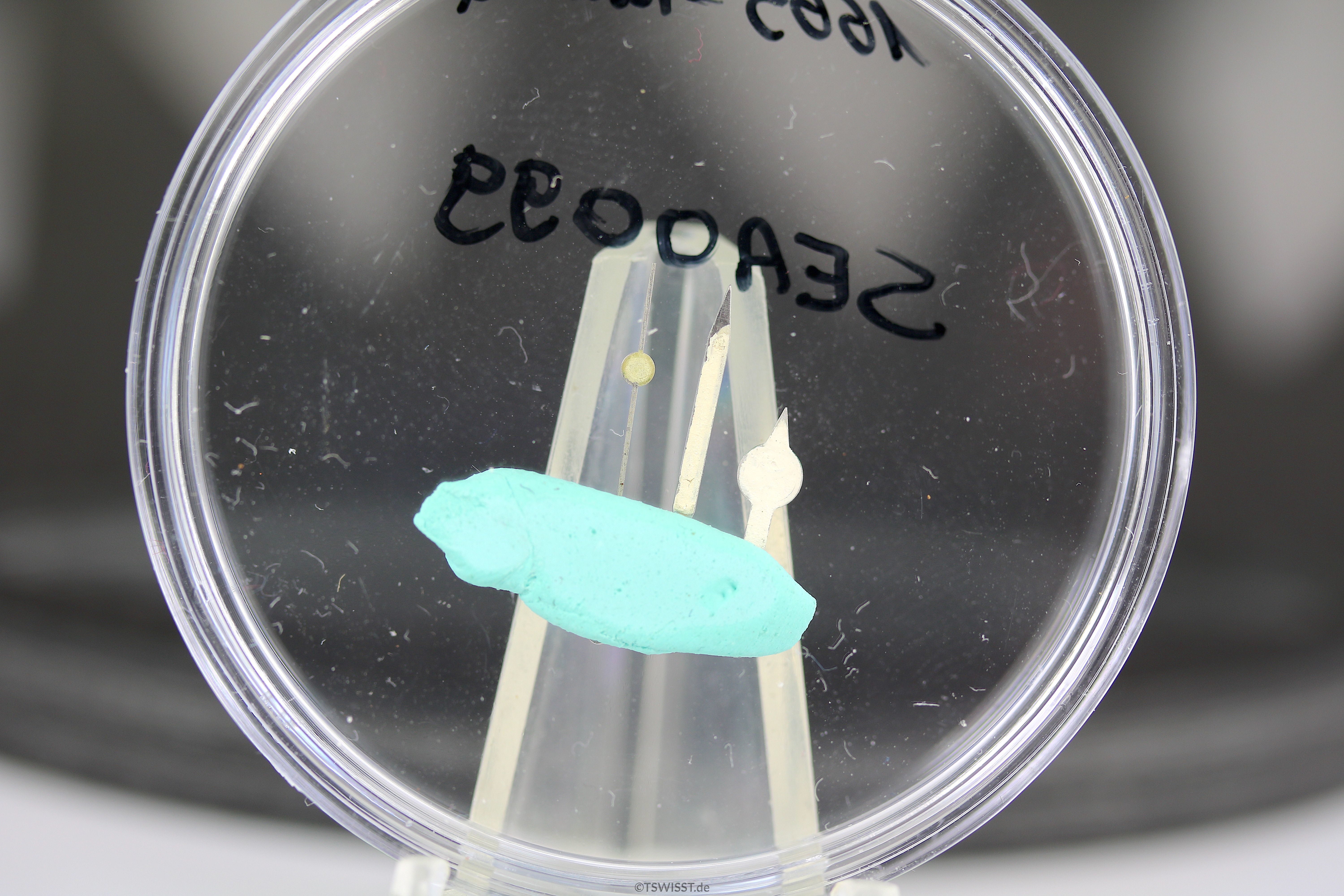 Rolex Zeigersatz für Submariner 1680 und Sea-Dweller 1665 relumed! – T ...